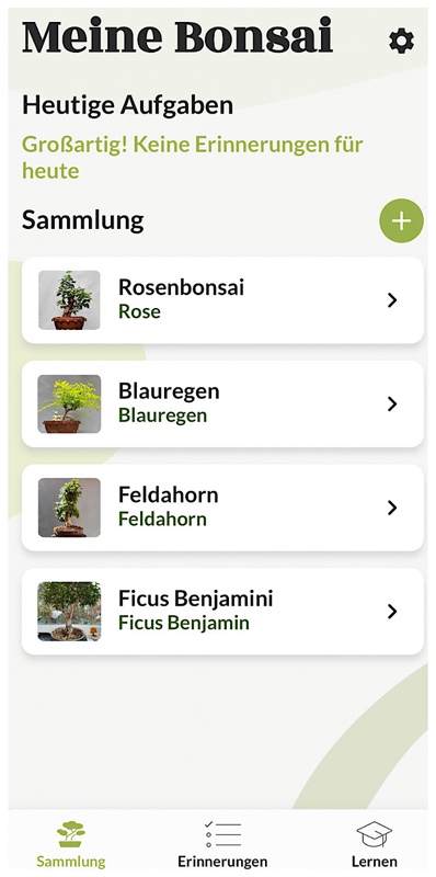 Bonsai-Apps als Helferlein im Test - hier "Bonsai Care App" - Bonsai-Treff